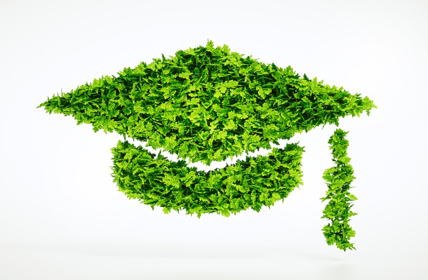 School Sustainability: Making Green Schools a Possibility